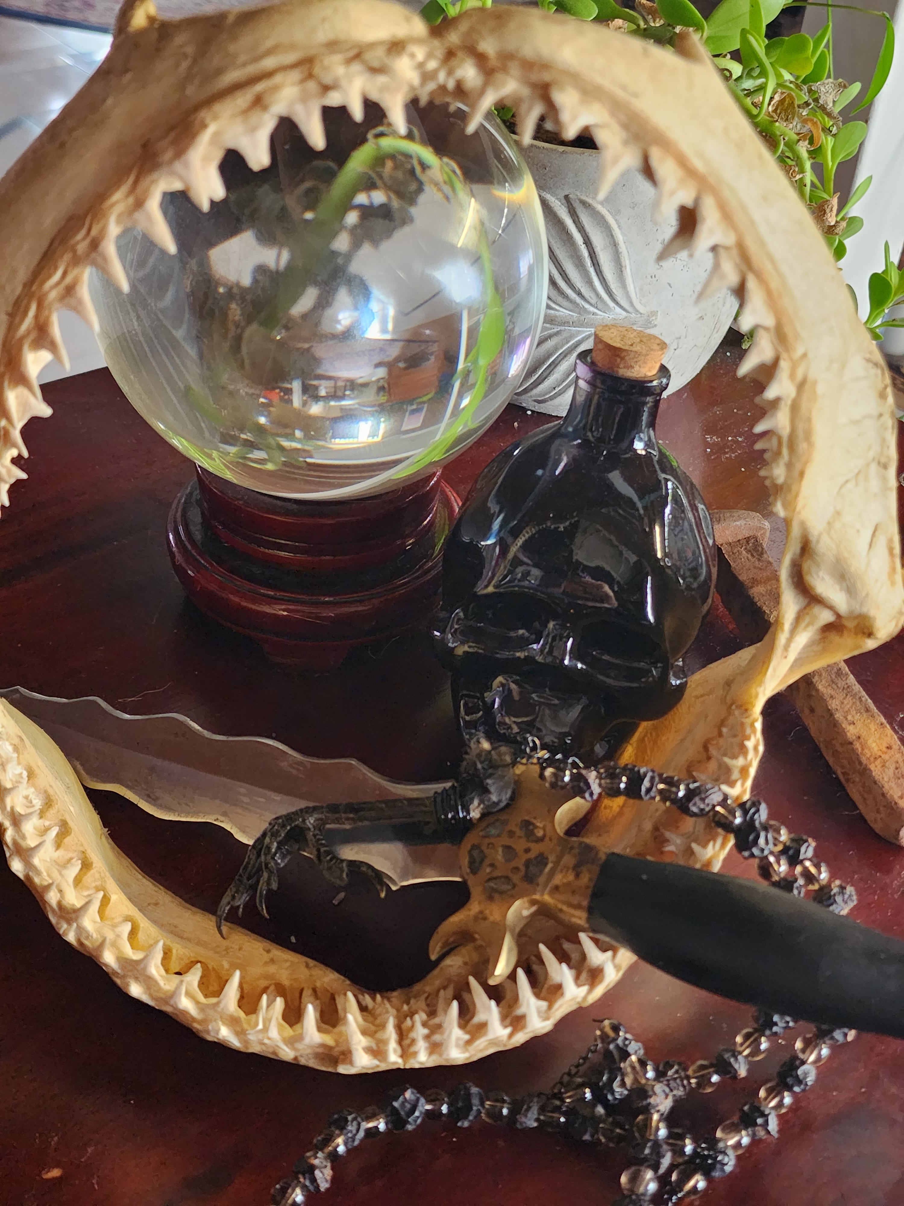 Forbidden Arts – Veiled Arts Apothecary